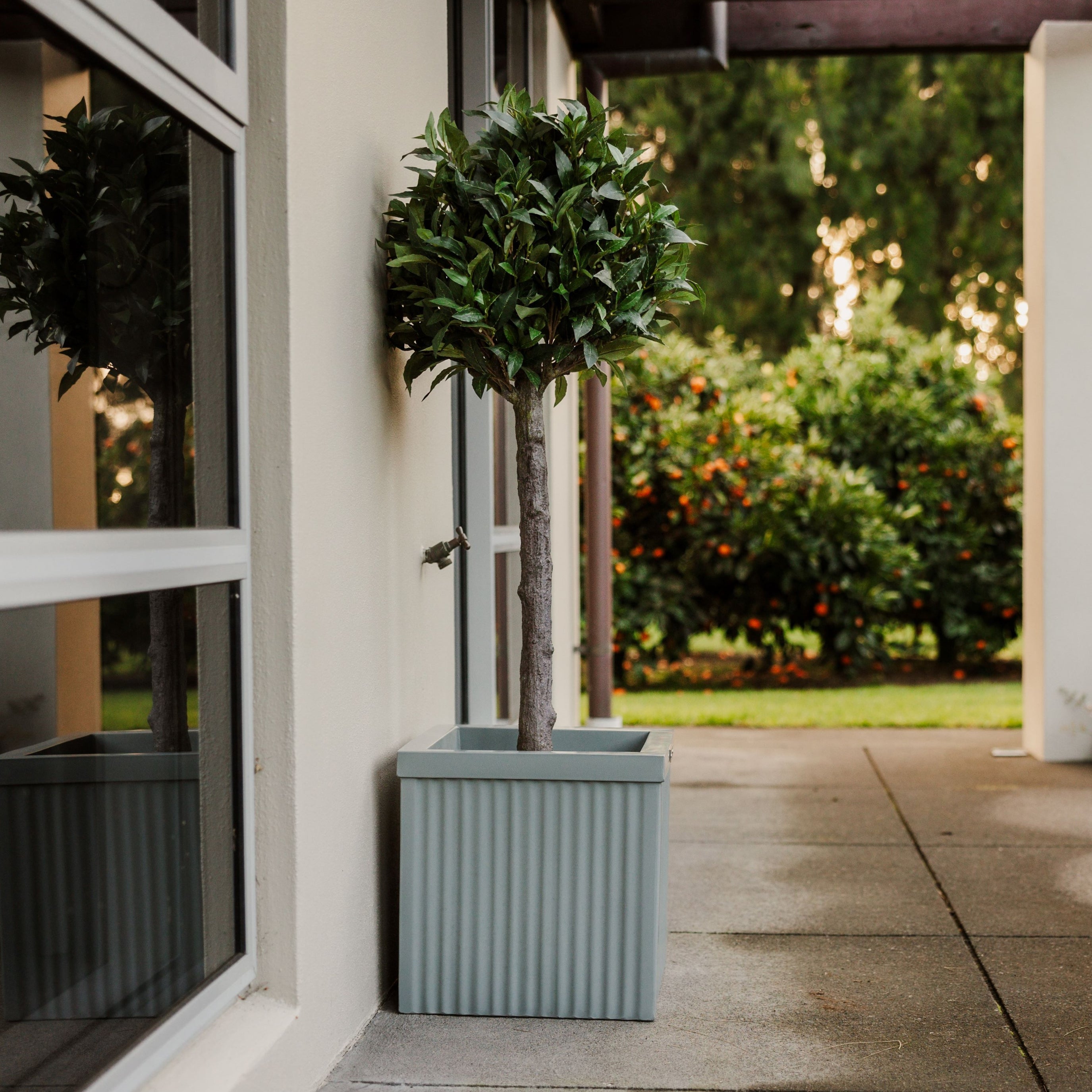 Modscene Designer Products | Planters - Modscene Australia